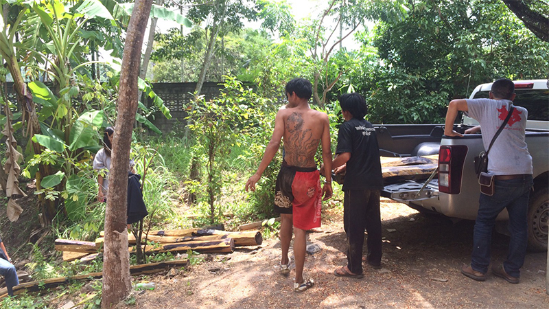 ไม้พะยูง100916-3 - ตำรวจท่องเที่ยวระยอง